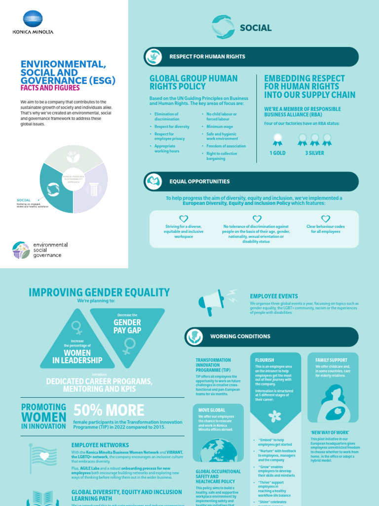 KM ESG Infographic FACTS and FIGURES - Social LANDSCAPE 1 | PDF ...