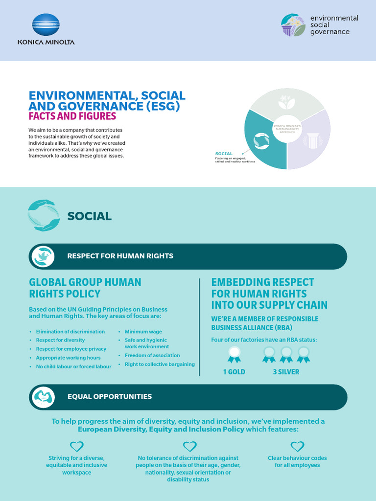KM ESG Infographic FACTS and FIGURES - Social 1 | PDF | Employment | Justice