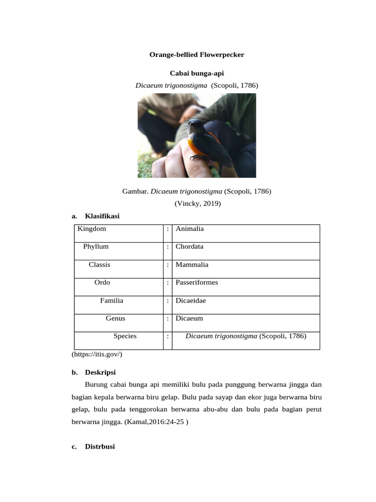 Pembahasan MISNET 1 | PDF