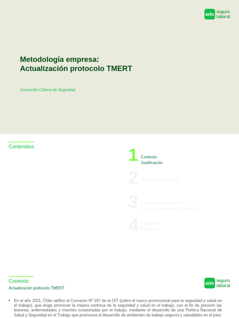 Metodología Empresa Protocolo Tmert | PDF