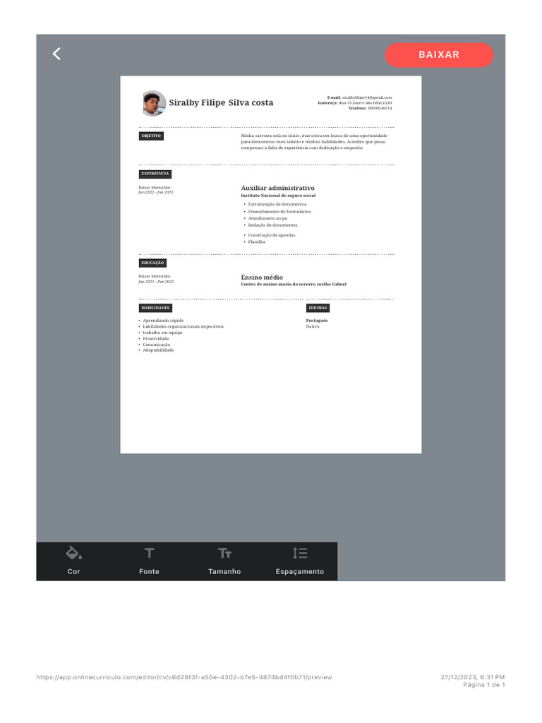 Currículo 2024 | PDF