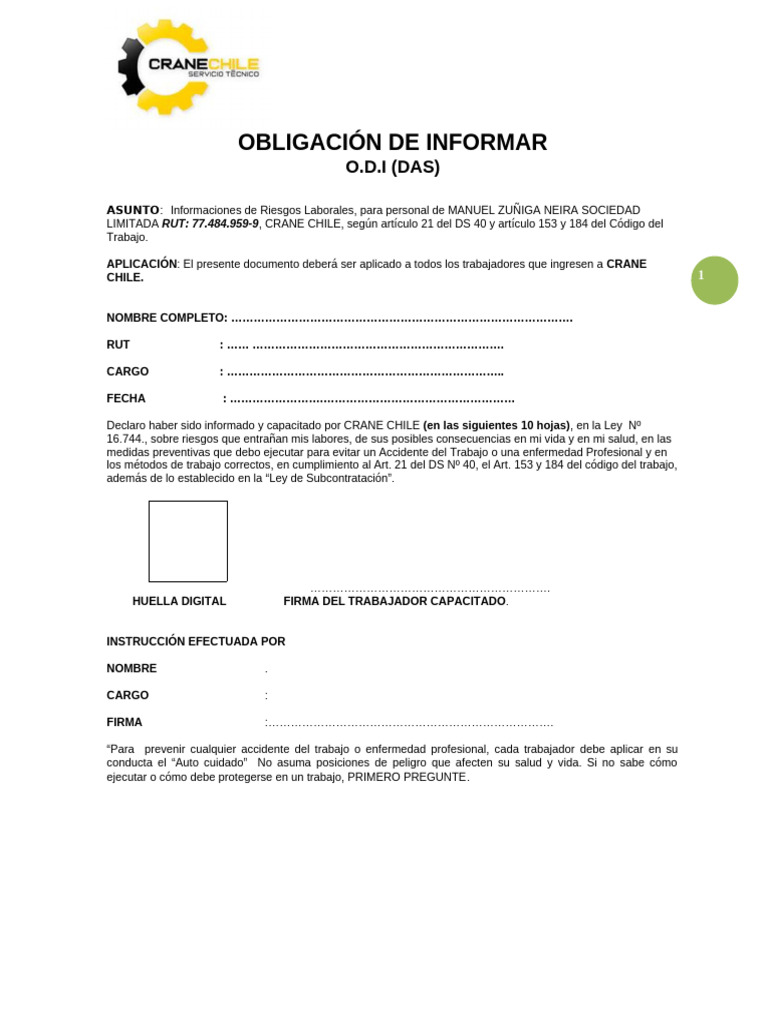 Formato ODI 2022 | PDF