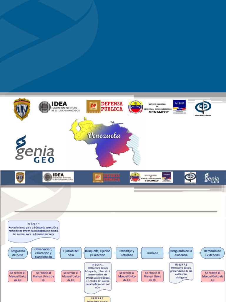 8 Proceso 1 Numlogo | PDF