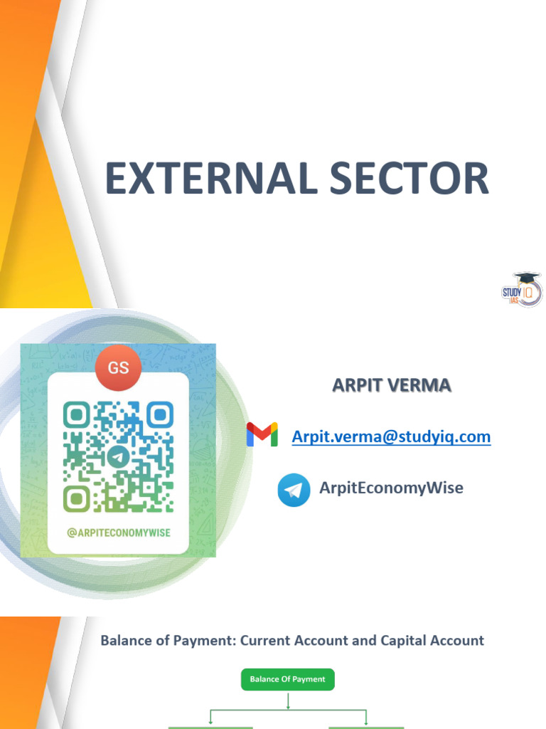 Consolidated ESI PPT For RBI 2024 | PDF