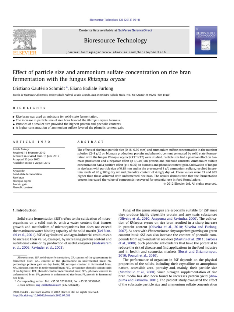 Particle Size On Biomass Production | PDF