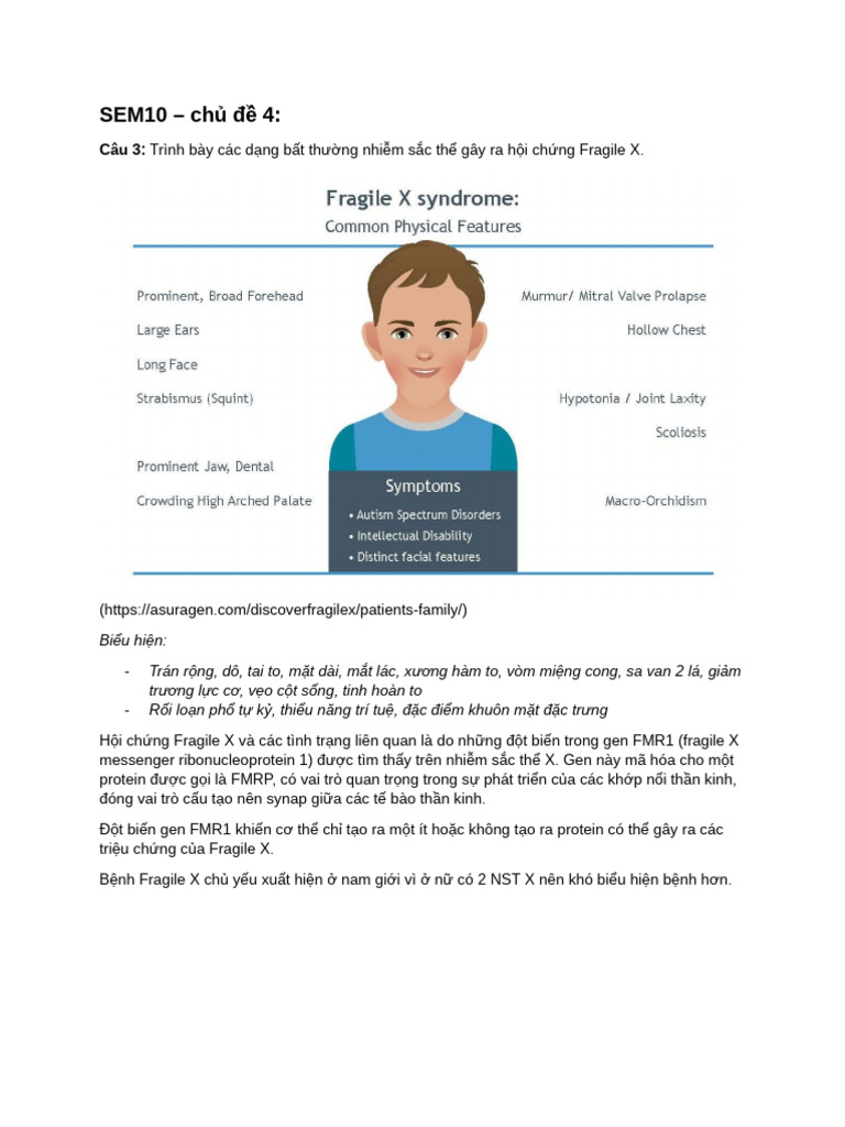 SEM10 - chủ đề 4 - câu 3 | PDF