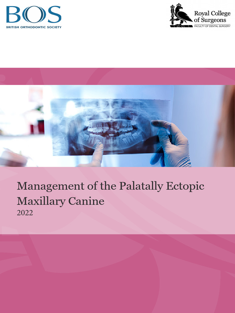 2management of The Palatally Ectopic Maxillary Canine Revised With ...