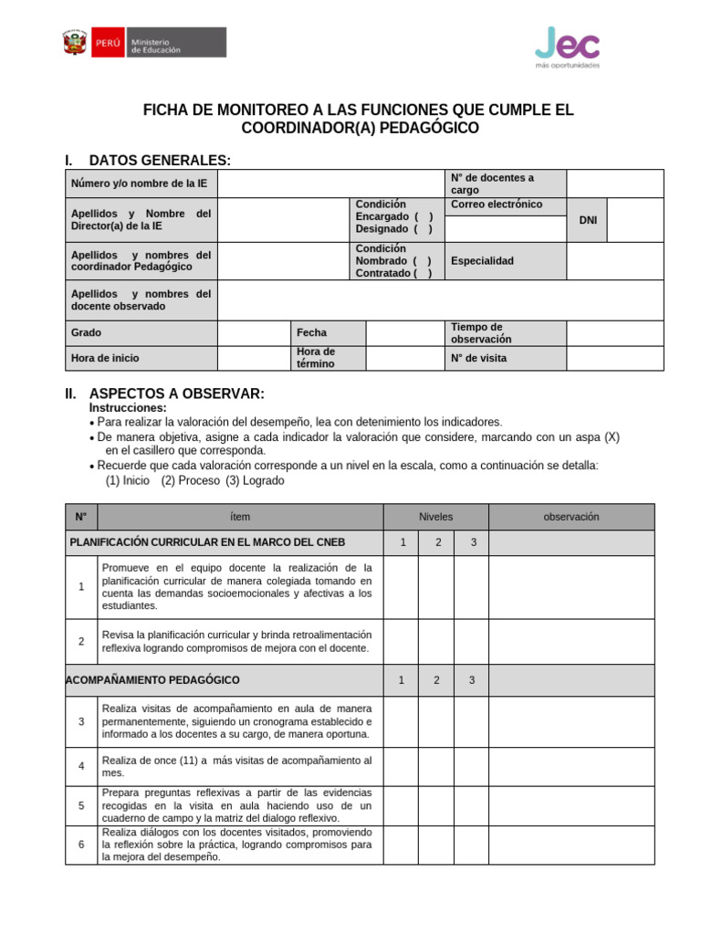 FICHA DE MONITOREO AL COORDINADOR Pedag Gico | PDF