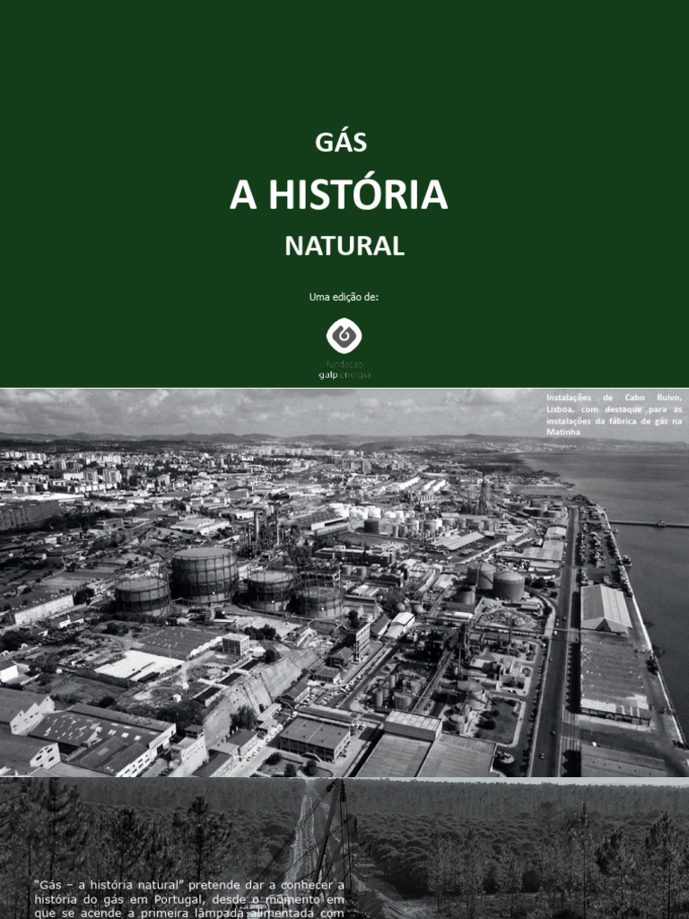 livro-gas-a-historia-natural | PDF
