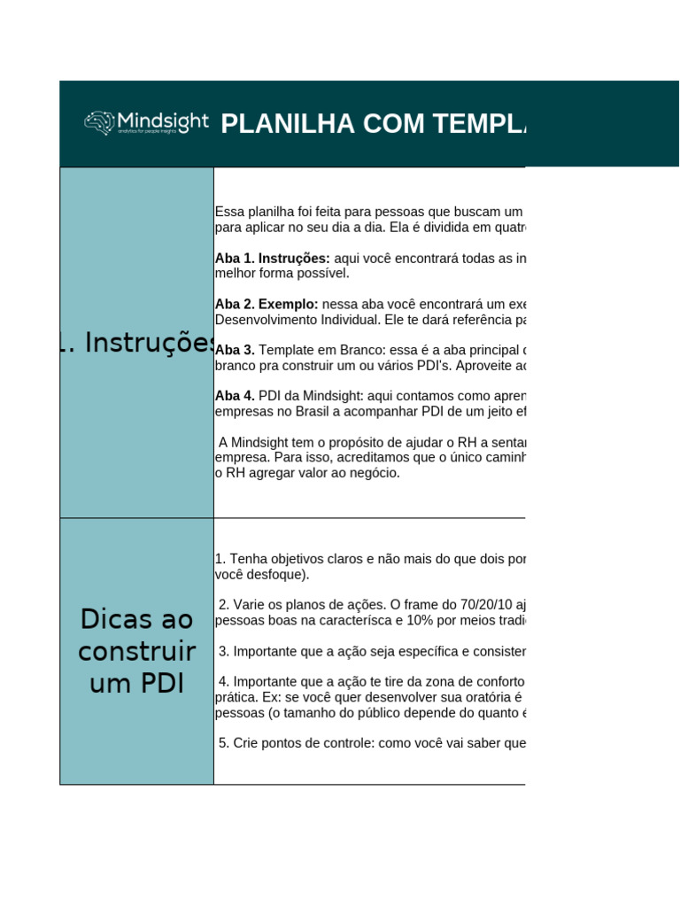 Cópia de Planilha de Template de PDI - Mindsight | PDF