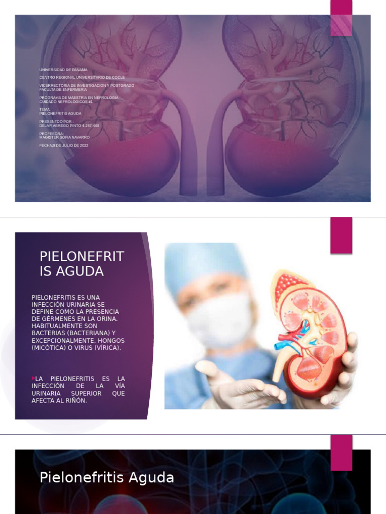 Pielonefritis | PDF