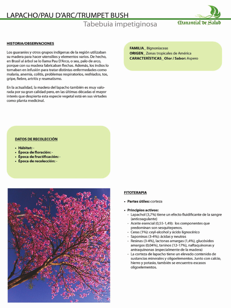 LAPACHO | PDF