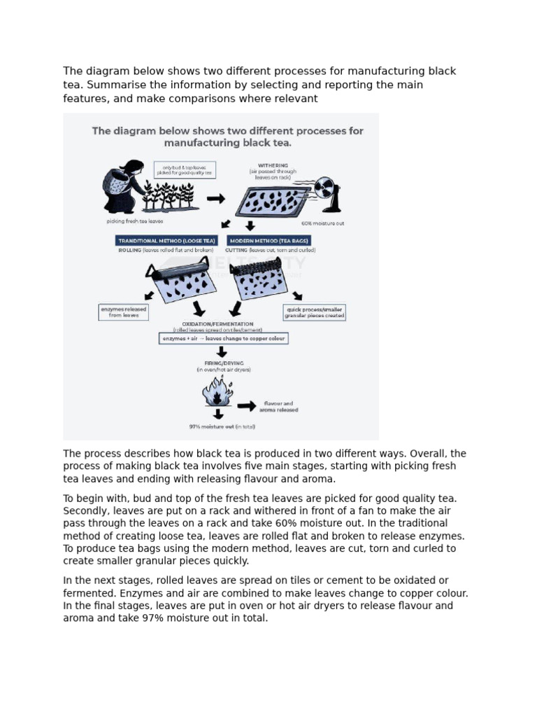 The Diagram Below Shows Two Different Processes For Manufacturing Black Tea | PDF