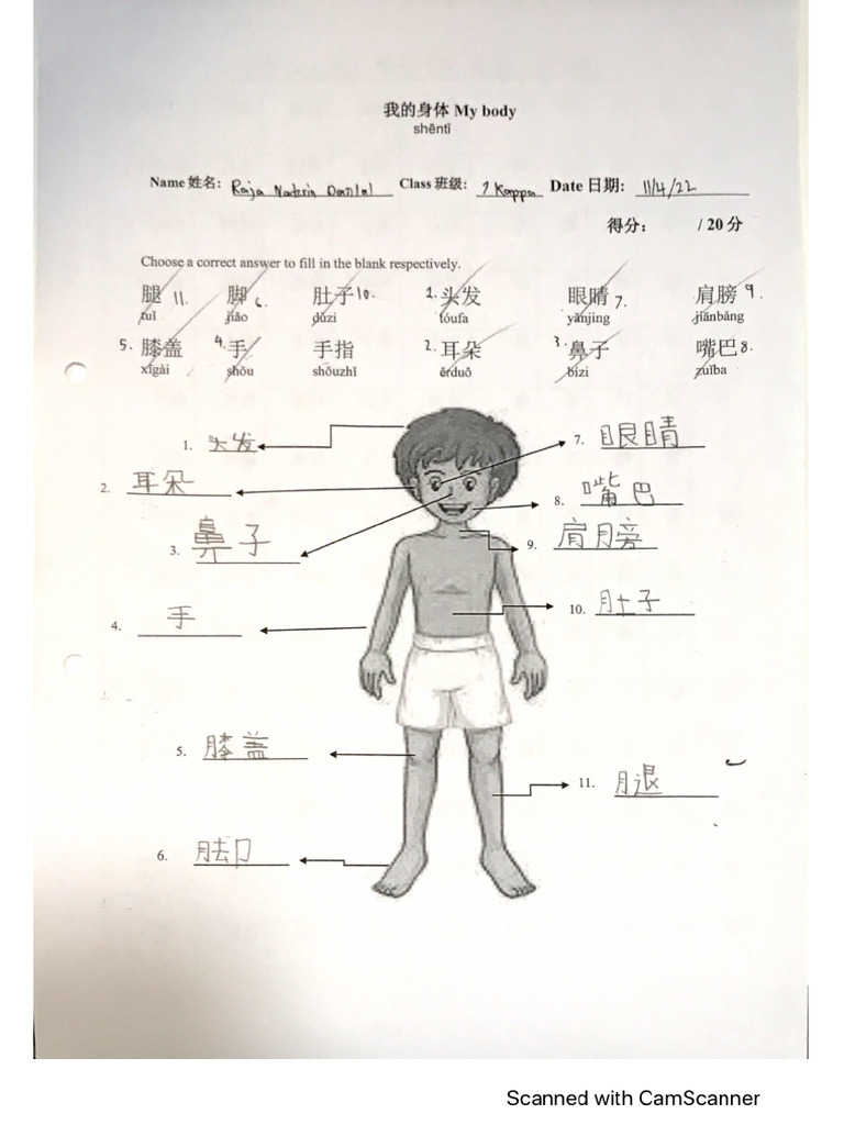 My Body and Exercise Chap 4 Chinese Worksheets | PDF