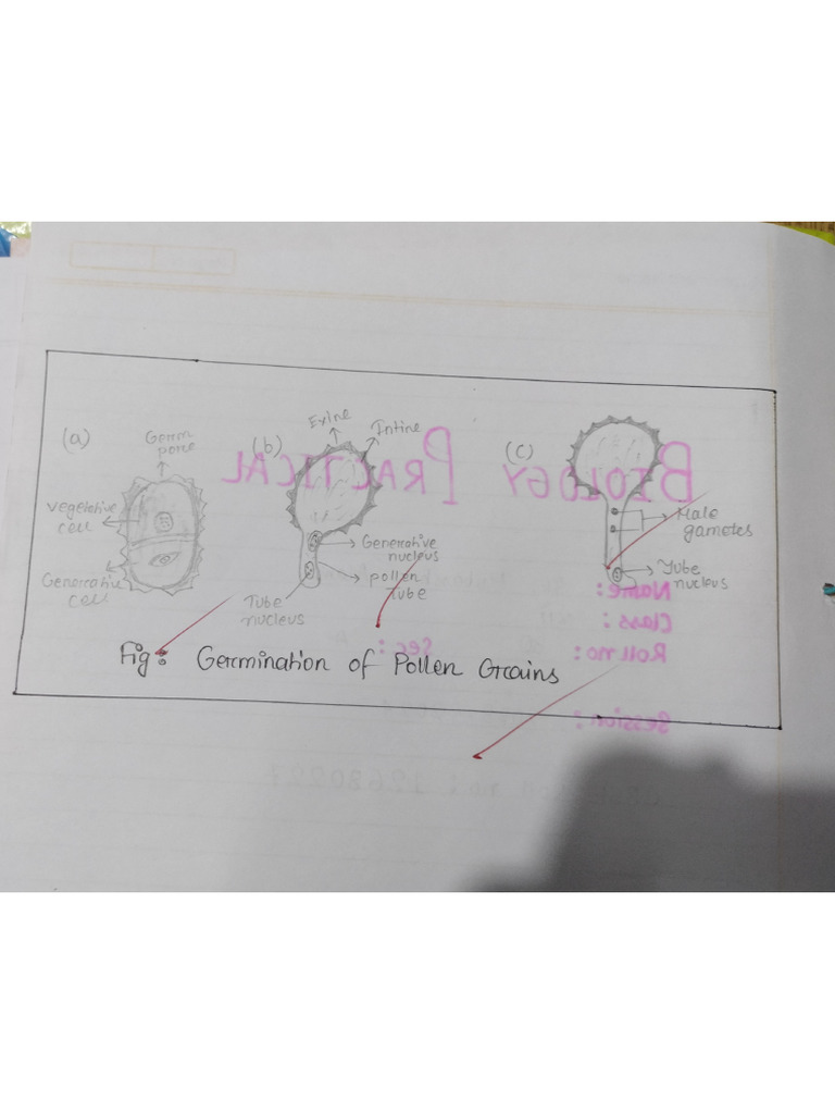 Bio Project Images | PDF