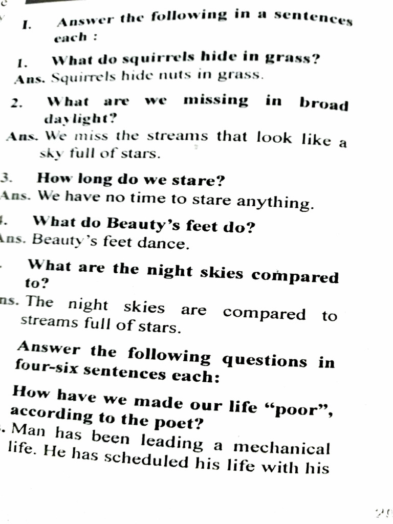 Leisure Poem Notes | PDF