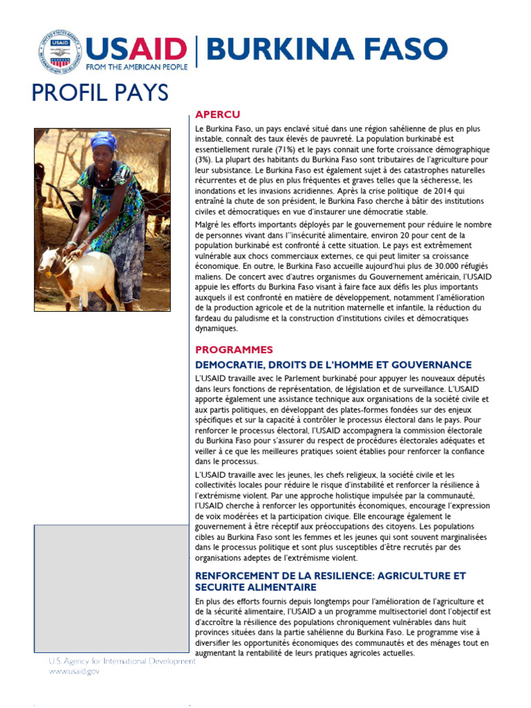 Country Profile BFA FR | PDF