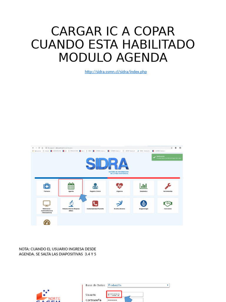Presentación DEMO SIDRA Ultima Version | PDF