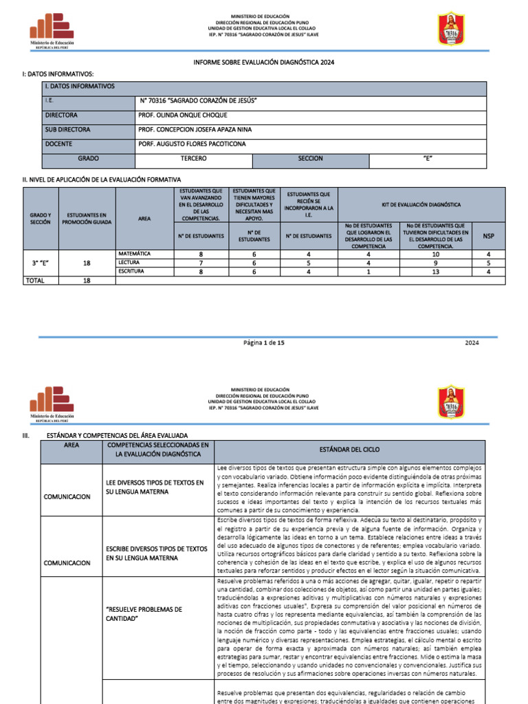 Informe - Sobre - Evaluación - Diagnóstica 2024 | PDF