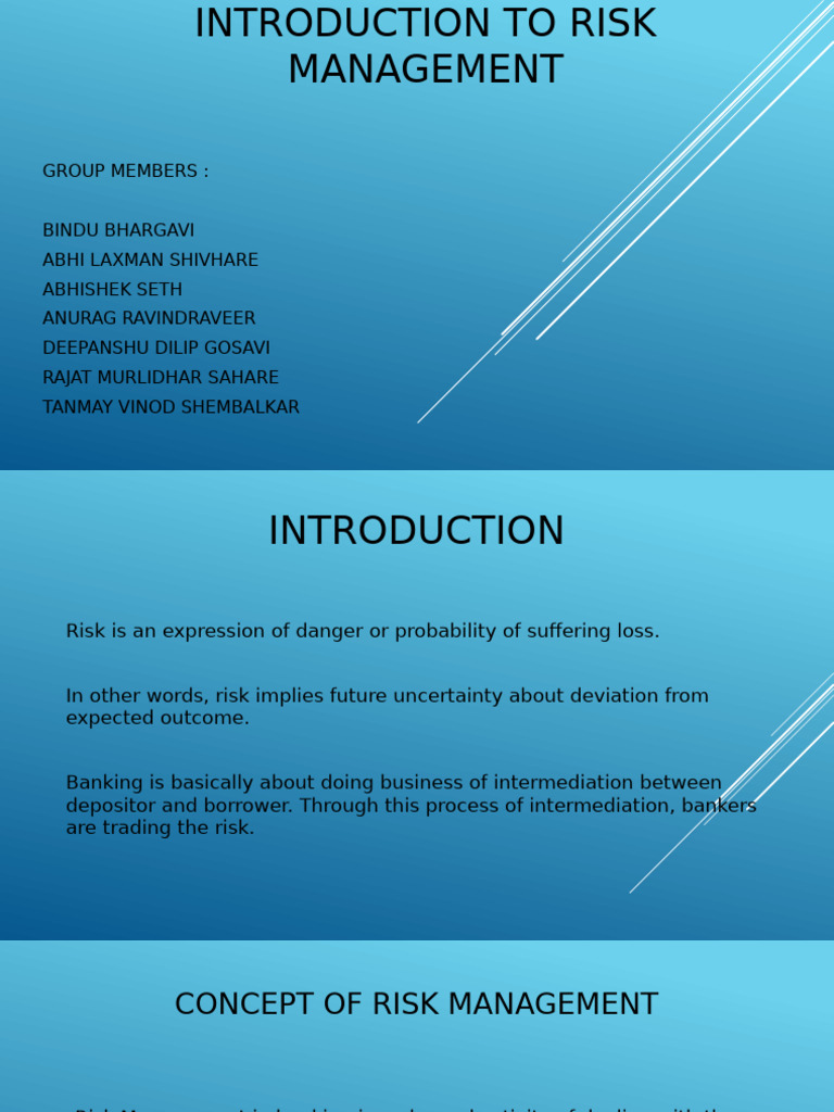 Introduction To Risk Management | PDF