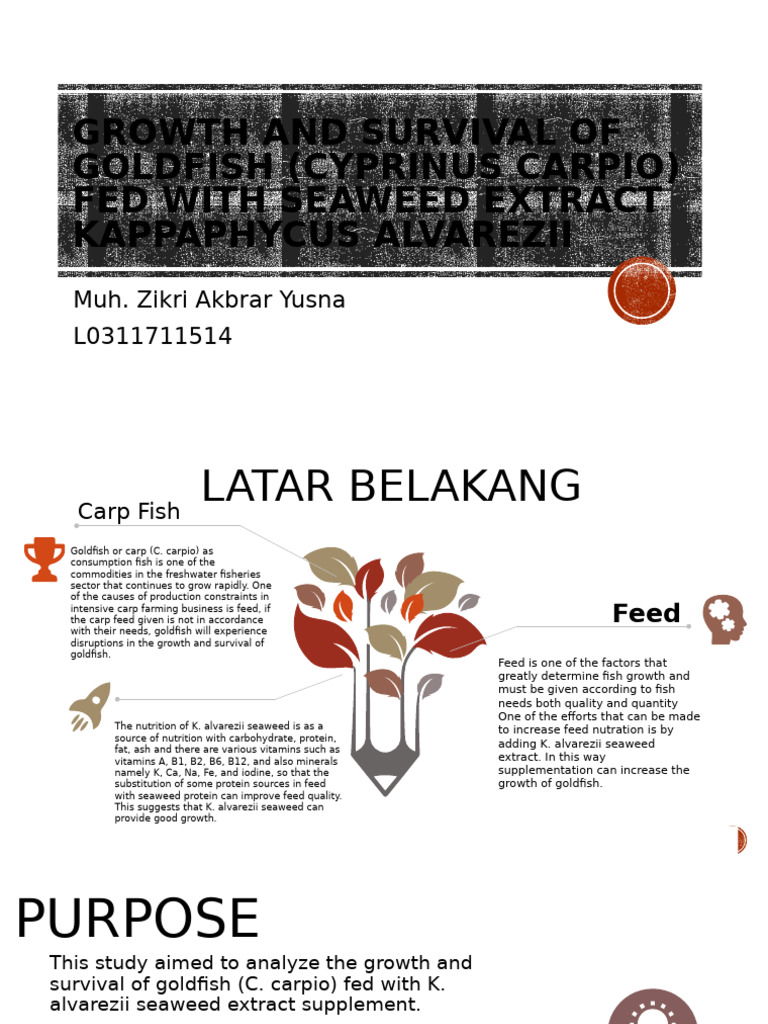 eng-PERTUMBUHAN DAN SINTASAN IKAN MAS (Cyprinus Carpio | PDF