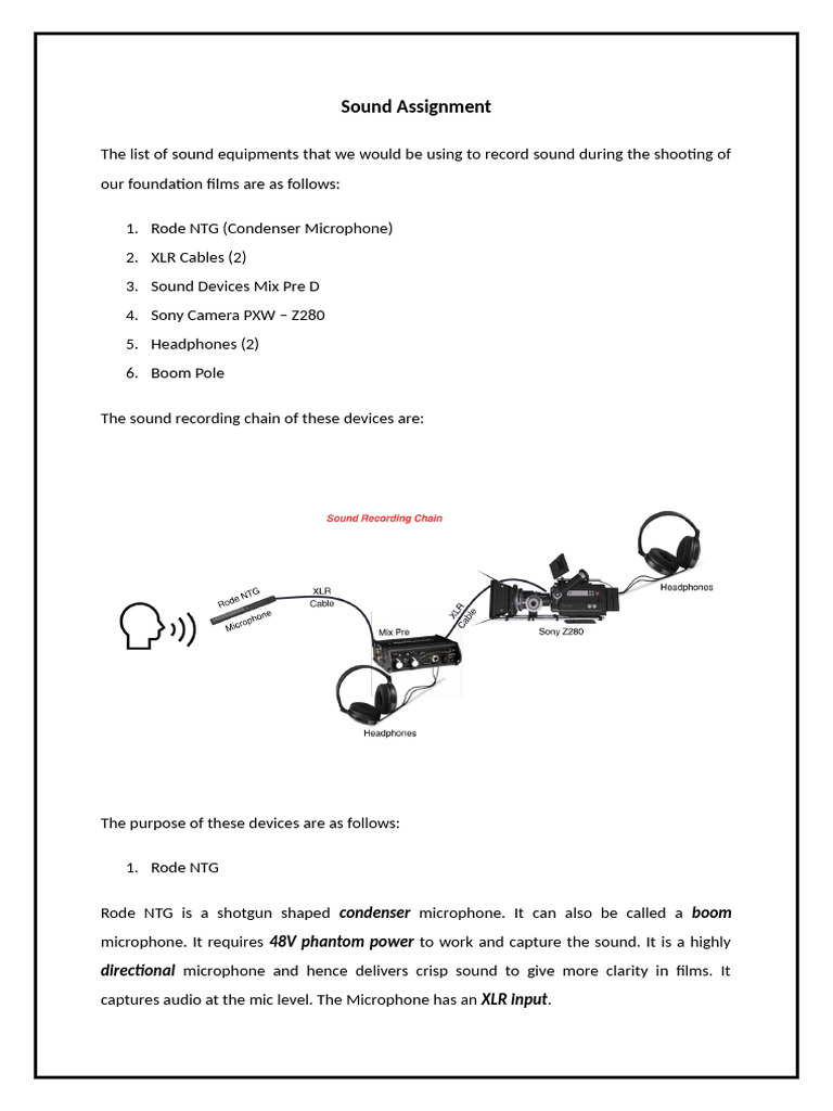 Sound Assignment | PDF