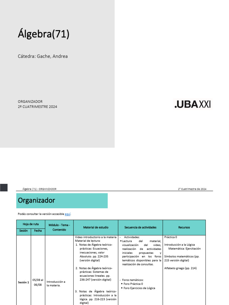 Álgebra - Organizador - 71 - 2C - 2024 | PDF