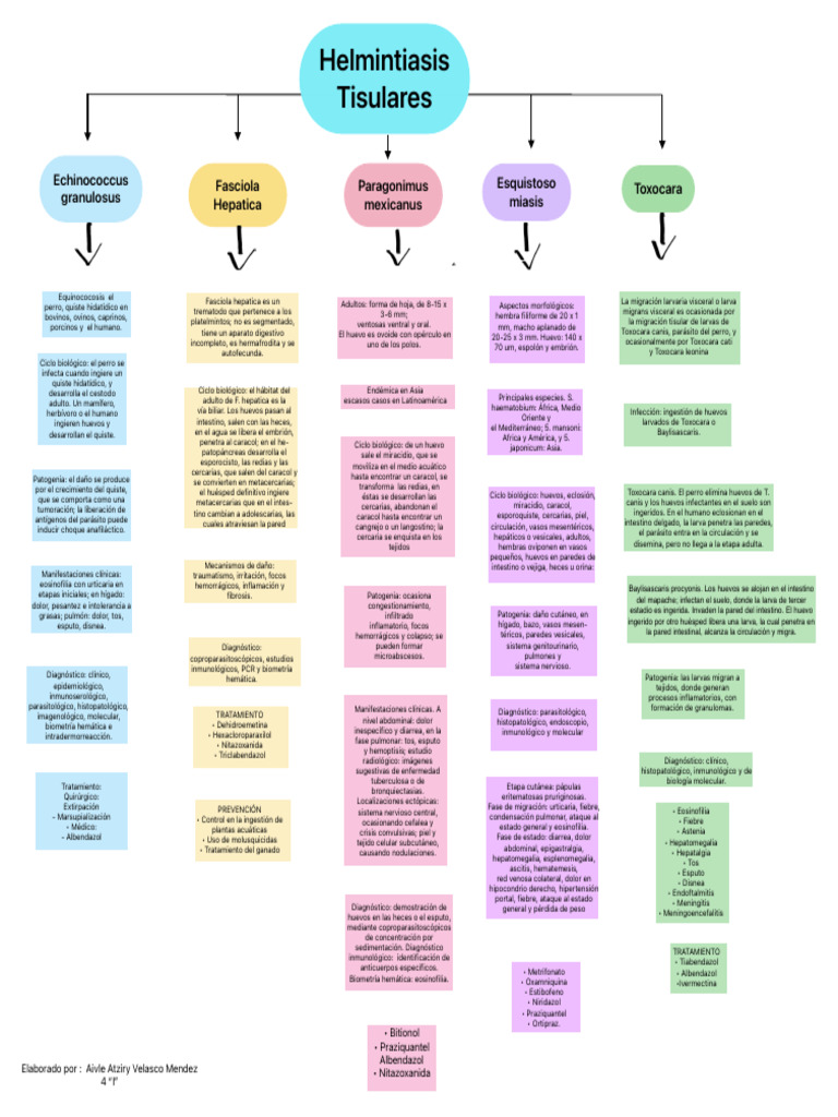 Helmintiasis Tisulares | PDF | Parasitology | Veterinary Medicine