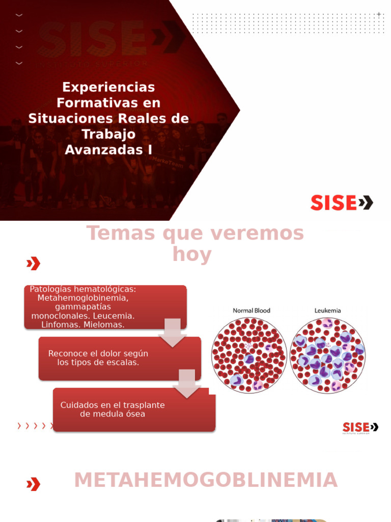 2 Sesion 1 Avan 1 Canva 2 | PDF