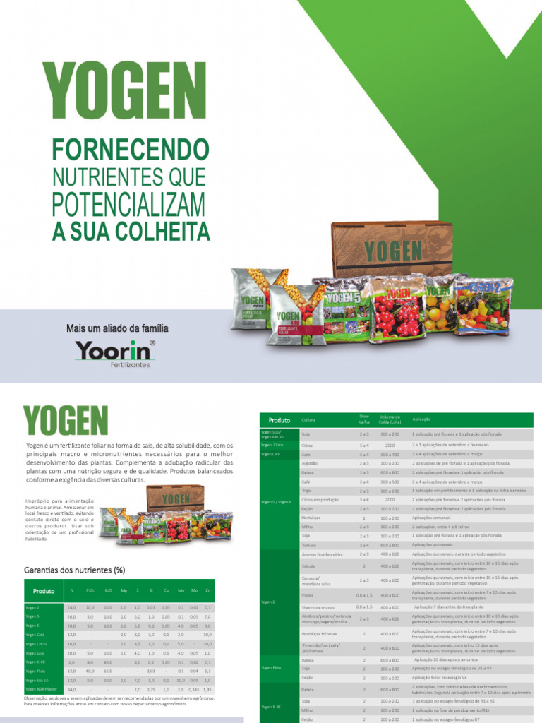 Folder Yogen 2022 | PDF