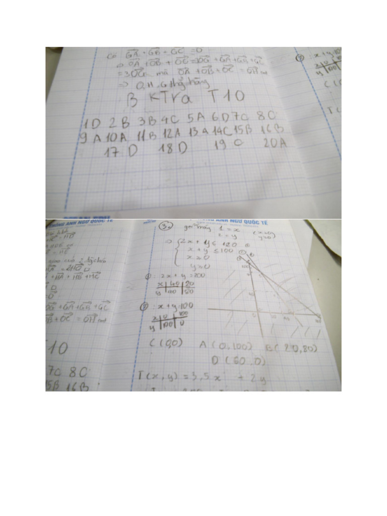 bt10 Lop 10T Pham Hieu Dung | PDF