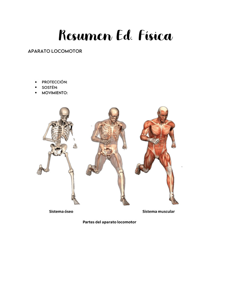 Resumen Ed Fisica | PDF