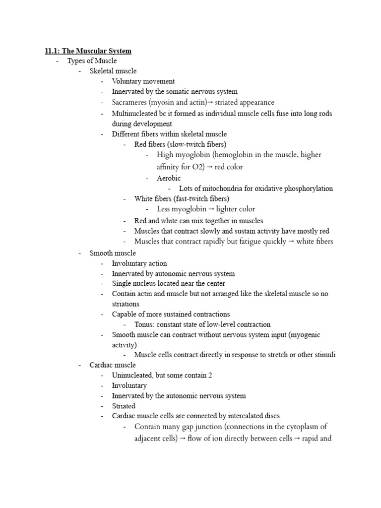 Chapter 11 - The Musculoskeletal System | PDF | Bone | Muscle Contraction