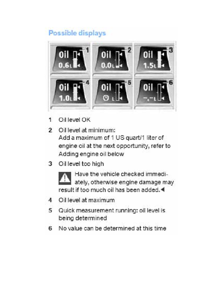 B110106S85 Oil Level Chart | PDF