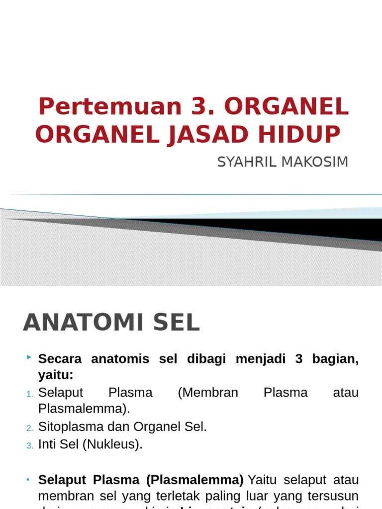 Biosel 3 | PDF