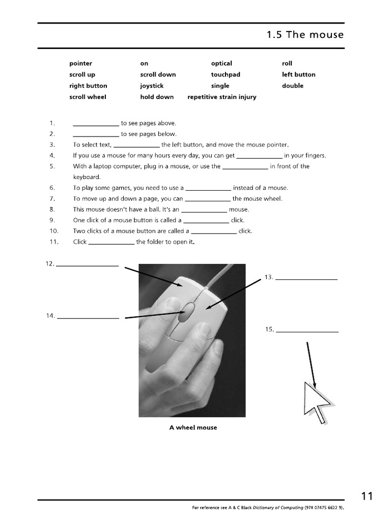 On The Mouse - Exercise | PDF