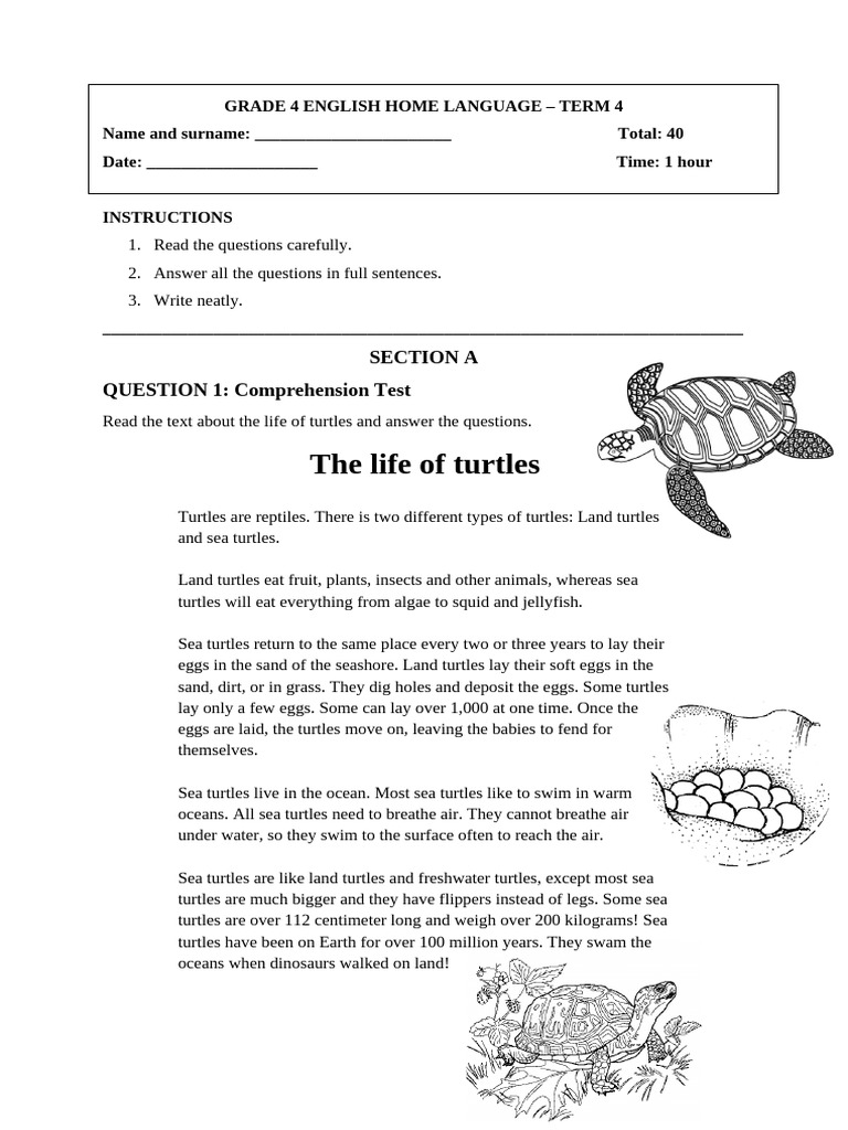 Grade 4 English Home Language | PDF