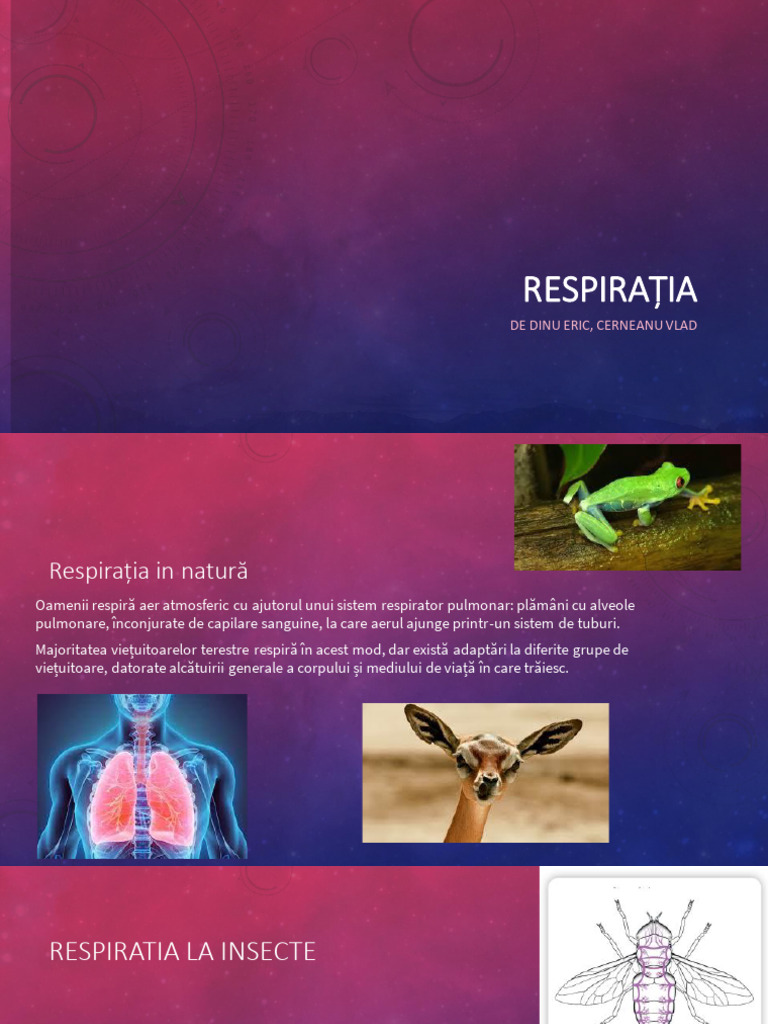 Biologie | PDF