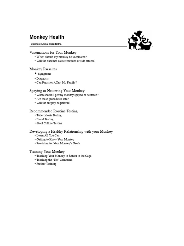 Monkey | PDF