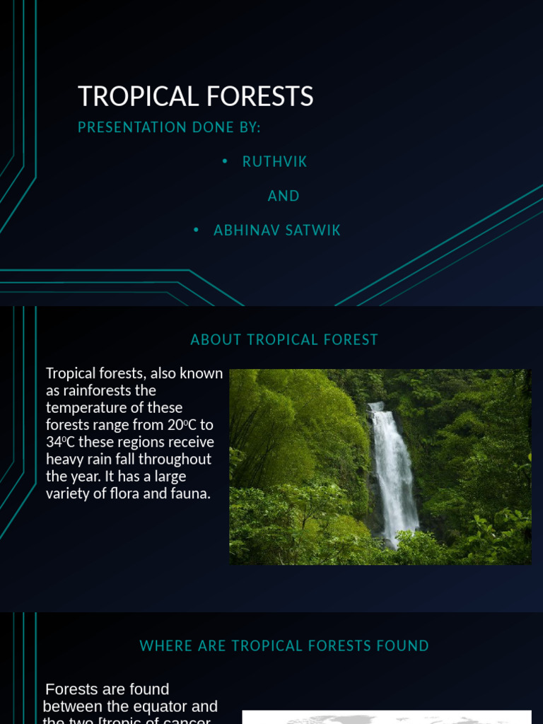 Tropical Forests | PDF