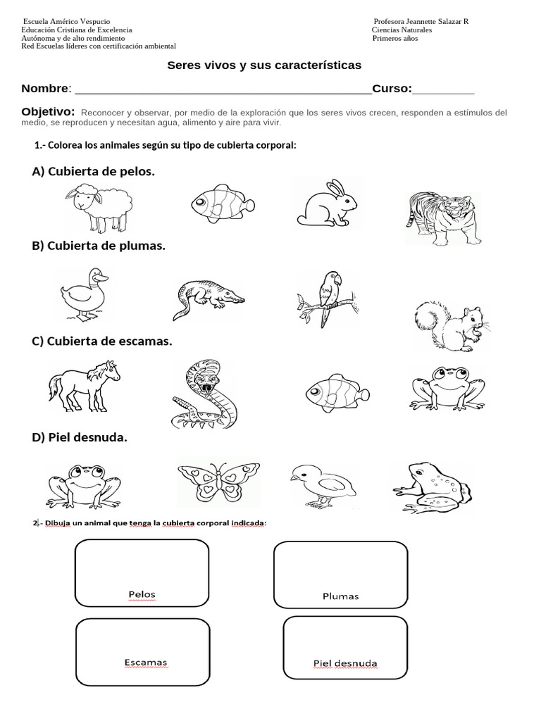 Guia de Cubierta de Los Animales | PDF | Ala