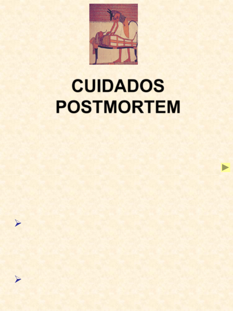Presentacion Cuidados Postmortem Pdf