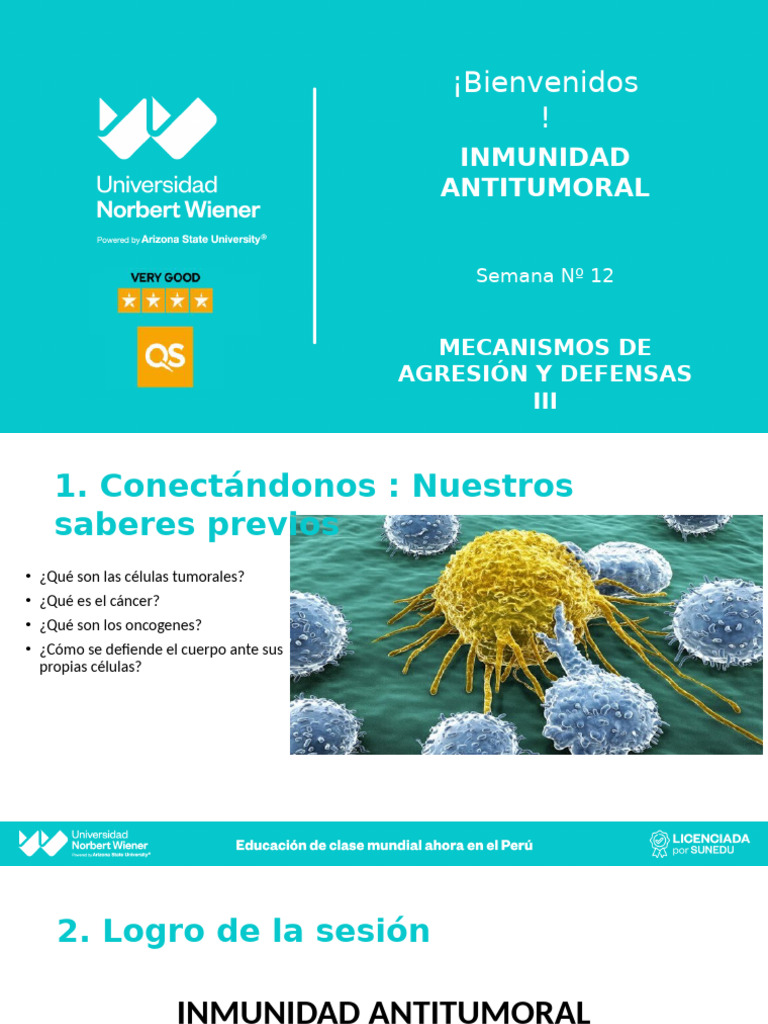 Defensa III - Inmunidad Antitumoral | PDF | Sistema inmune | Cáncer