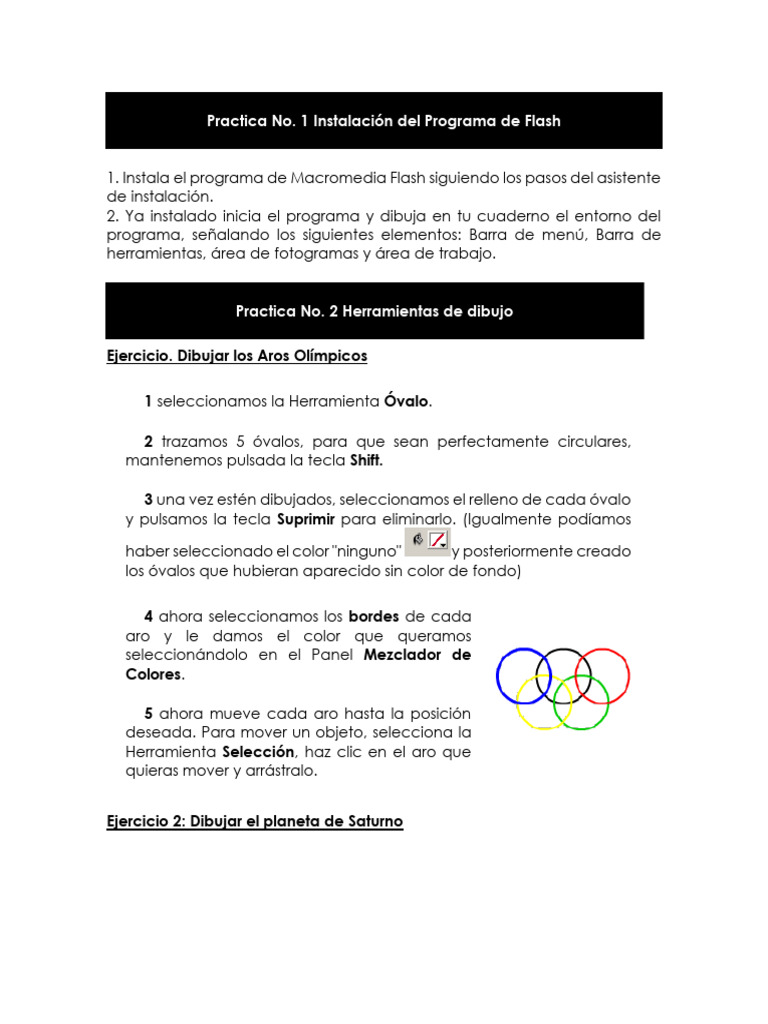 Practicas Flash | PDF