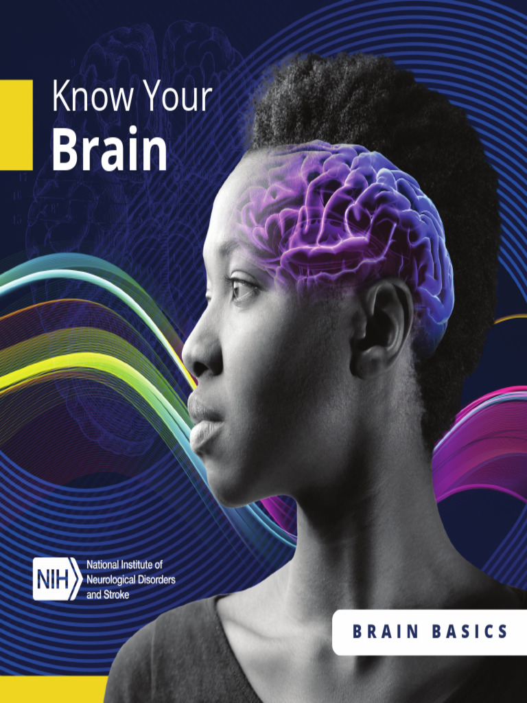 Know Your Brain Brian Basics | PDF | Neurotransmitter | Neuron