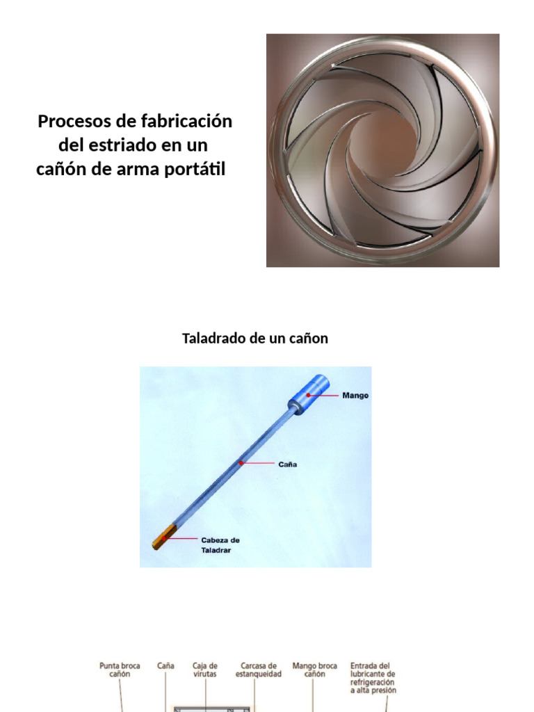 Estriados Resumen | PDF