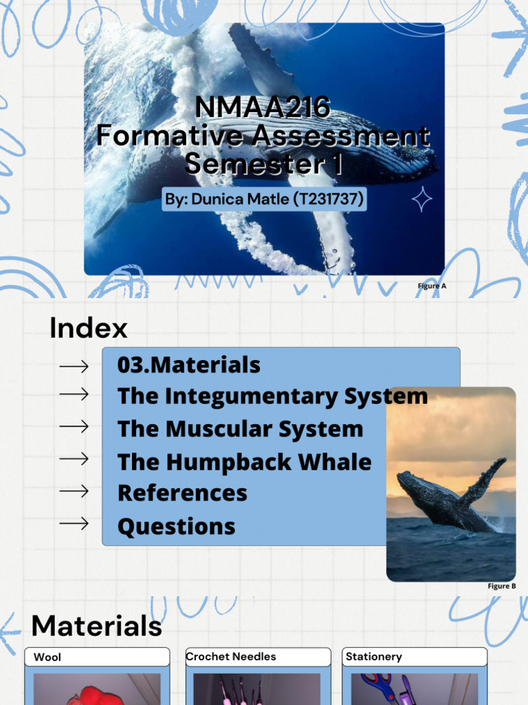 Dunica Matle: The Integumentary System | PDF