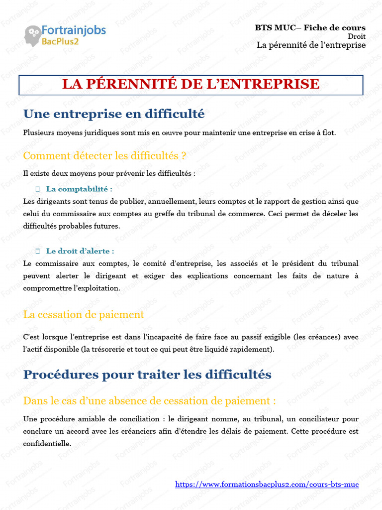 BTS MUC La Perennite de L Entreprise | PDF