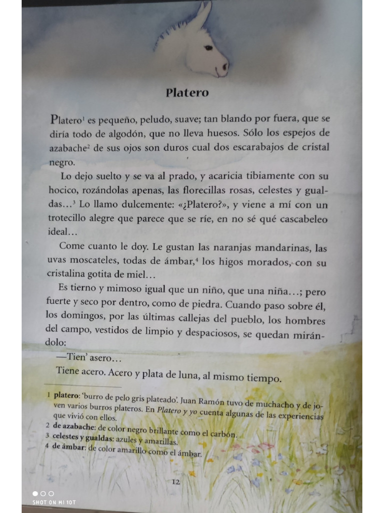 Libro Platero y Yo | PDF