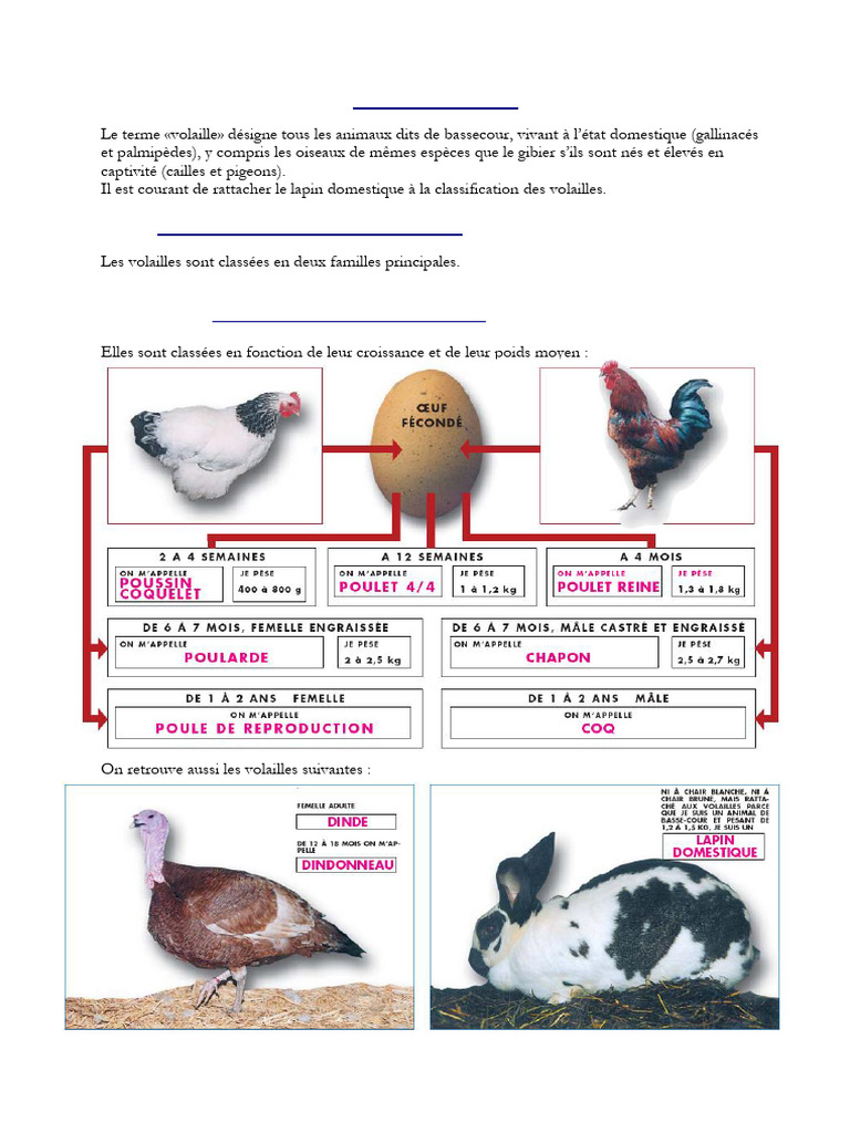 Les Volailles | PDF